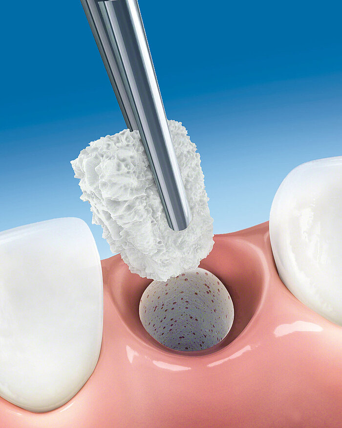 Geistlich USA: United States